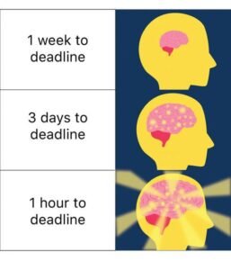 18 Funniest UX Design Memes to Make You Laugh